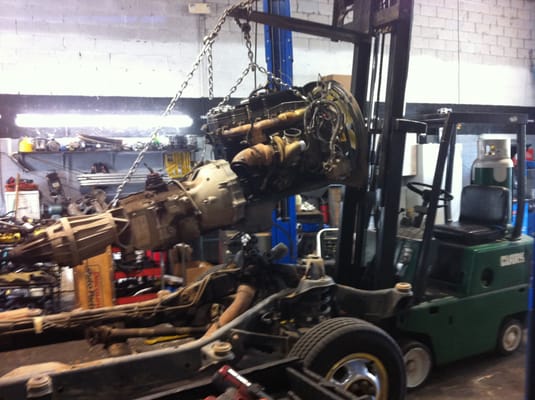 ALL ABOUT DIESEL - Updated October 2025 - 83 Photos - 12509 SW 130th St ...