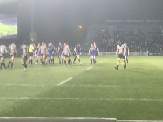 RDS ARENA - Updated October 2024 - 10 Photos - 4 Anglesea Road ...