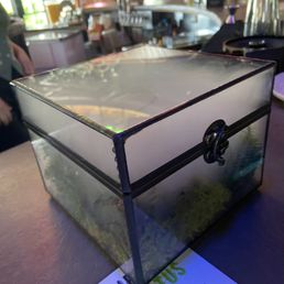 NEON CACTUS - Updated January 2025 - 164 Photos & 159 Reviews - 241 E ...