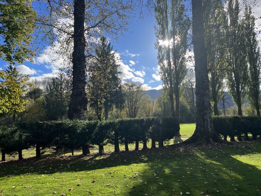 MOUNT SI GOLF COURSE - Updated December 2025 - 32 Photos & 46 Reviews ...