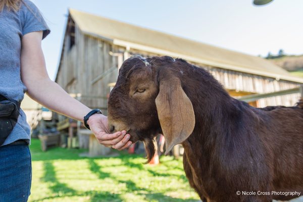 UC ELKUS RANCH ENVIRONMENTAL EDUCATION CENTER - Updated August 2025 ...
