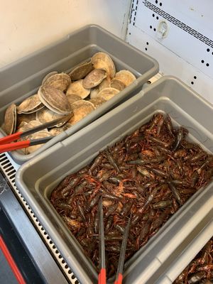 ENSON MARKET - Updated December 2025 - 371 Photos & 35 Reviews - 1385 ...