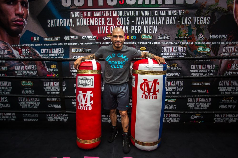 PRO FIGHT SHOP - Updated October 2025 - 446 Reviews & 277 Photos - 1062 ...