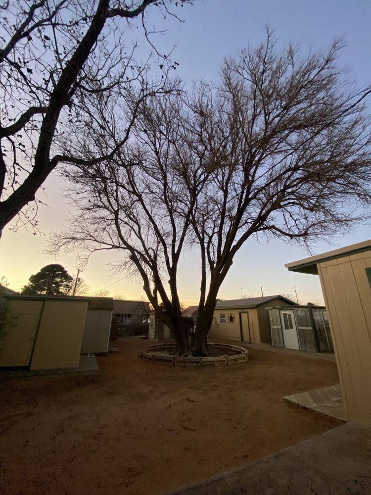 TEXAS SCAPES - Updated December 2025 - Lubbock, Texas - Landscape ...