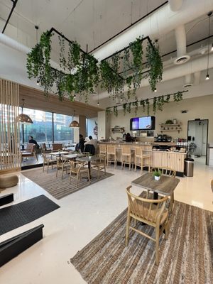 LLAMABAR - Updated December 2025 - 107 Photos & 48 Reviews - 1 M St SE ...