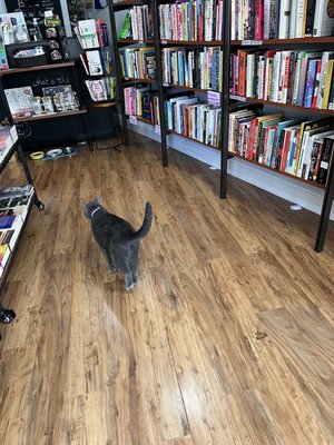 HEARTLEAF BOOKS - Updated November 2025 - 22 Photos & 10 Reviews - 374 ...