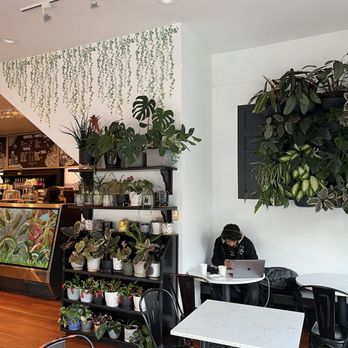FIDDLE FIG CAFE & COFFEE - Updated April 2024 - 215 Photos & 172 ...