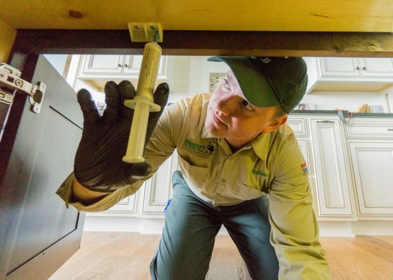 WESTERN EXTERMINATOR COMPANY - Updated December 2025 - 56 Photos & 385 ...