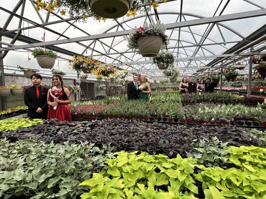 PARKVIEW GARDENS FLORIST & GREENHOUSE - Updated September 2025 - 50 ...