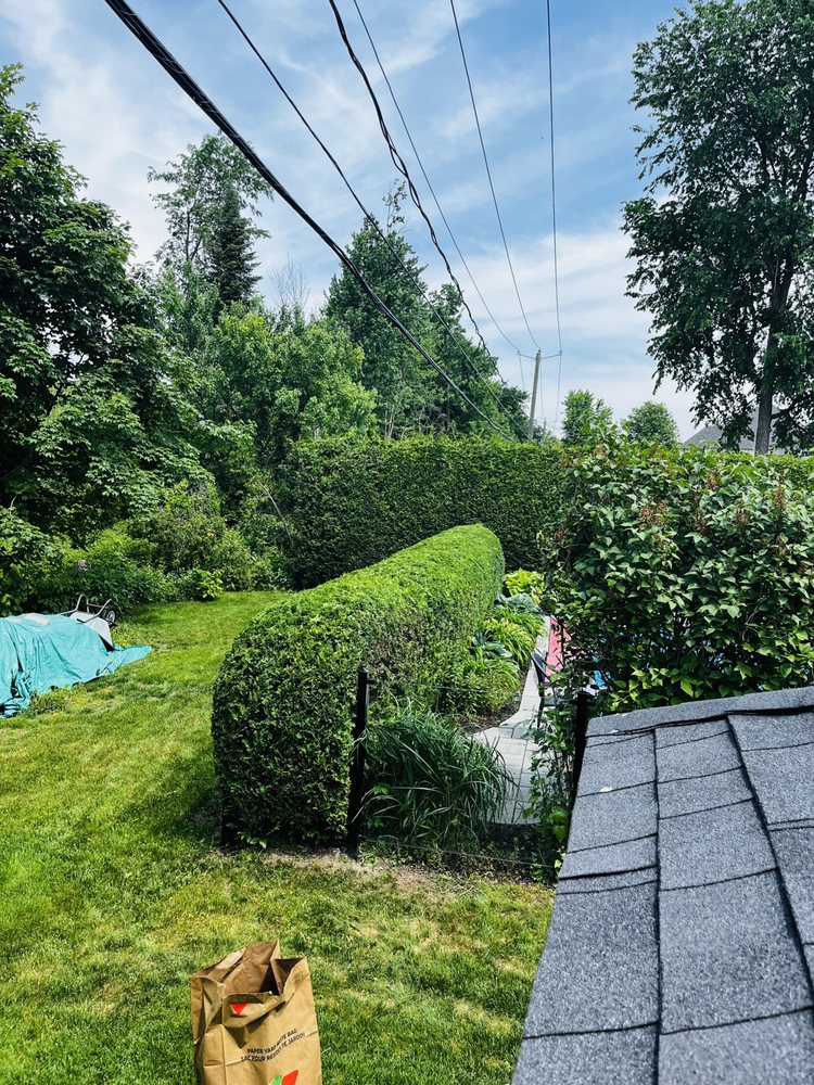 GROUPE TRIVERT - Updated July 2024 - Request a Quote - Terrebonne ...