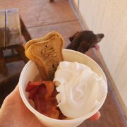 HOWLING DOG CAFE - 61 Photos & 49 Reviews - Cafes - 2626 S Main St ...