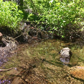 GALENA CREEK REGIONAL PARK - Updated July 2025 - 293 Photos & 40 ...