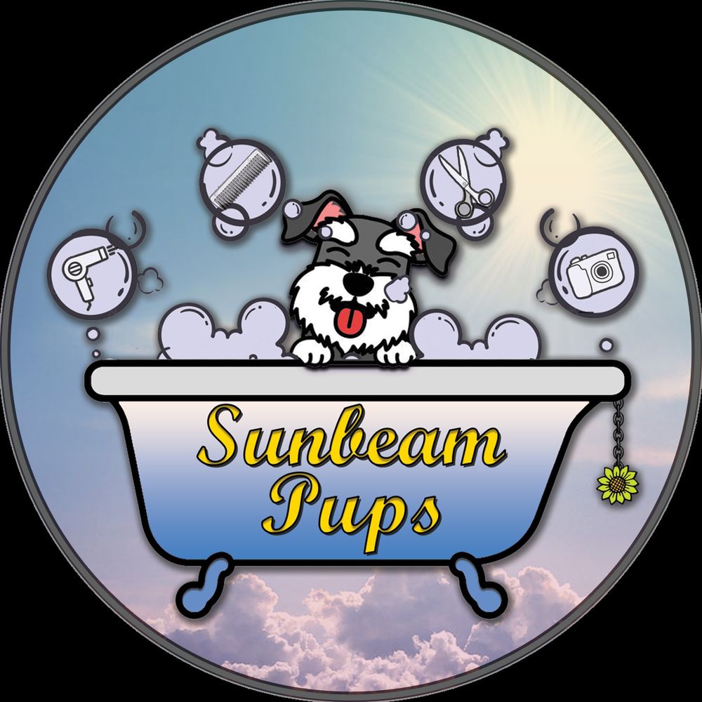SUNBEAM PUPS - Updated April 2026 - Request a Quote - 14 Photos ...