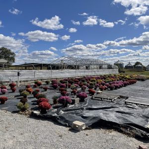 STREAM CLIFF FARM - Updated October 2025 - 136 Photos & 46 Reviews ...