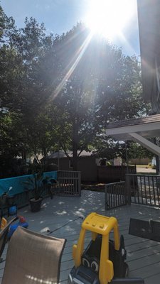 COY TREE SERVICE - Updated May 2024 - 39 Photos - Carpentersville ...