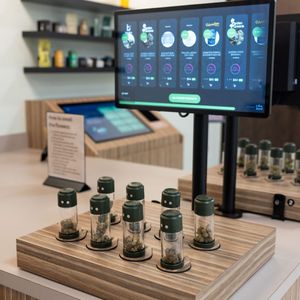 BRUTE’S ROOTS - Updated June 2025 - 12 Reviews - 6206 Black Horse Pike ...