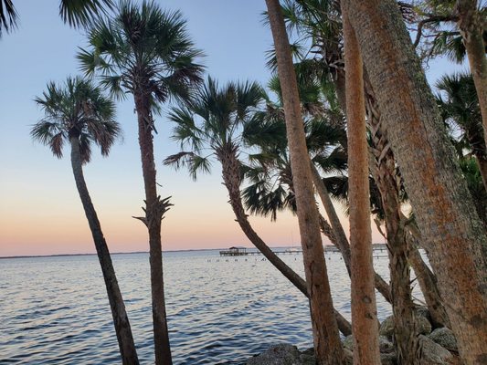 MANATEE HAMMOCK CAMPGROUND - Updated October 2024 - 46 Photos & 32 ...