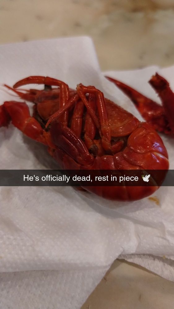 SHOGUN BUFFET HIBACHI GRILL - Updated December 2025 - 43 Photos & 118 ...