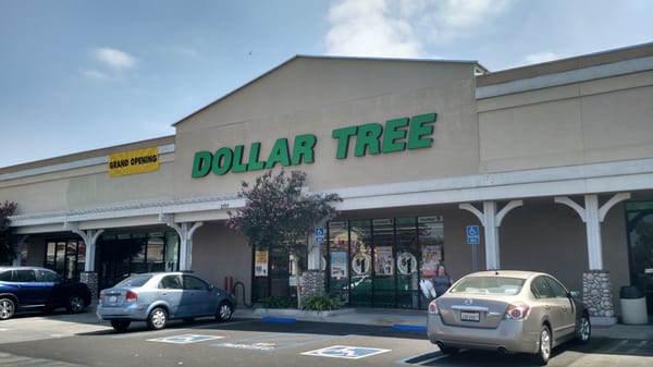 DOLLAR TREE - Updated December 2025 - 11 Photos & 24 Reviews - 2705 N ...