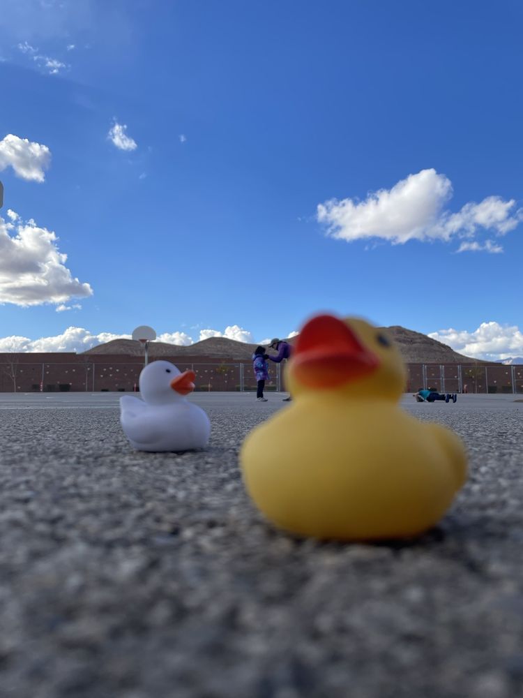 DORAL ACADEMY CACTUS CAMPUS - Updated October 2025 - 17 Reviews & 16 ...