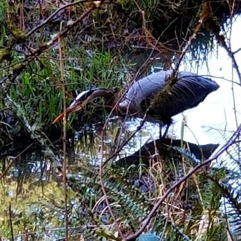 LOWAMI HART WOODS NATURAL AREA - Updated May 2025 - 25 Photos - 14895 ...