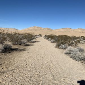 KELSO DUNES - 137 Photos & 30 Reviews - Baker, CA - Yelp