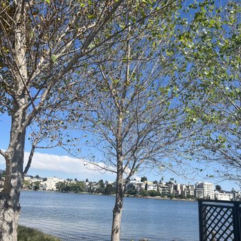 LAKE MERRITT BOATING CENTER - Updated September 2025 - 68 Photos & 71 ...