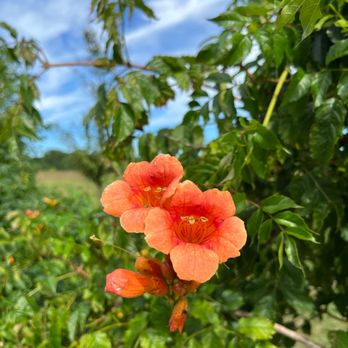 FERNALD PRESERVE - Updated October 2025 - 784 Photos & 10 Reviews ...