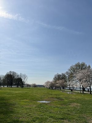 HAINS POINT - Updated December 2025 - 61 Photos & 38 Reviews - 1100 ...