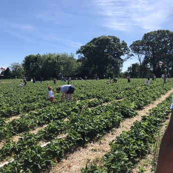 FOUR TOWN FARM - Updated June 2025 - 126 Photos & 83 Reviews - 90 ...