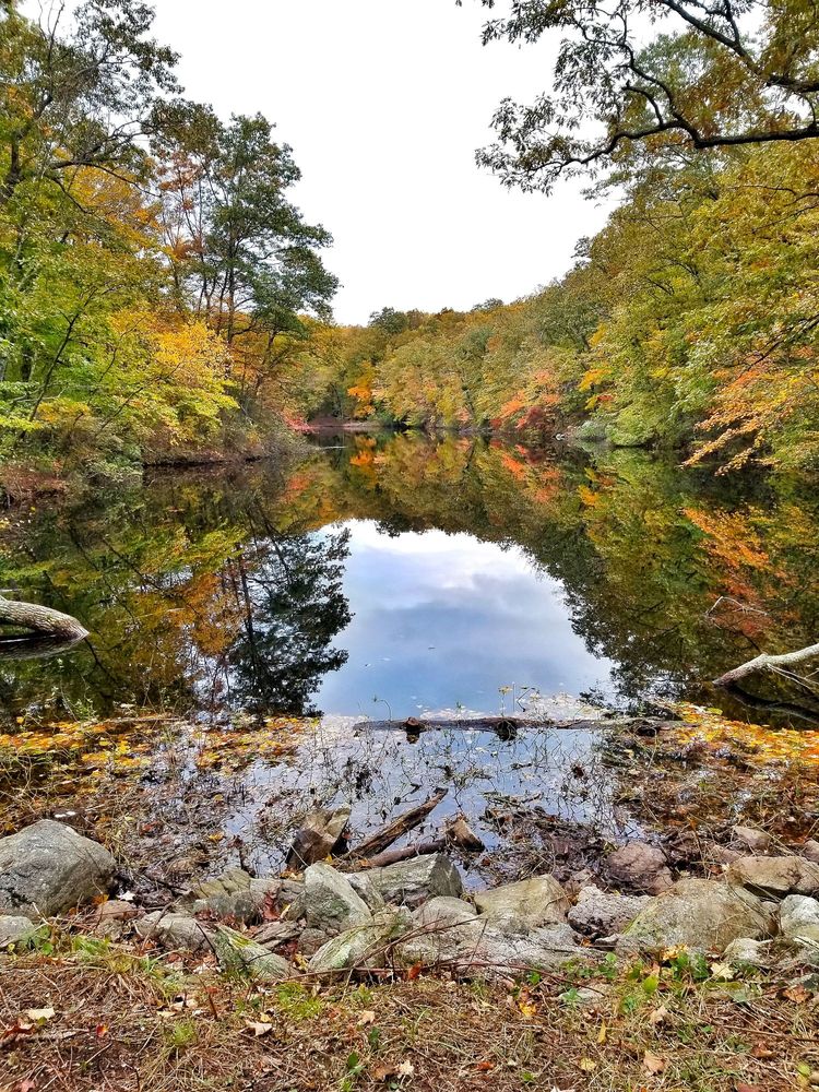 NATURE CONSERVANCY - DEVIL’S DEN PRESERVE - 59 Photos & 11 Reviews ...