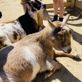 RIVER STREET RANCH - Updated January 2025 - 1029 Photos & 767 Reviews ...