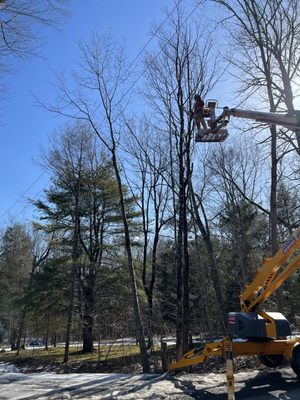 G & G LANDSCAPE DESIGN - Updated October 2025 - 21 Photos - Latham, New ...