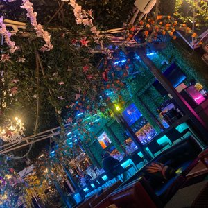 HIGHKEY RAINFOREST ROOFTOP - 81 Photos & 54 Reviews - 6 Platt St, New ...