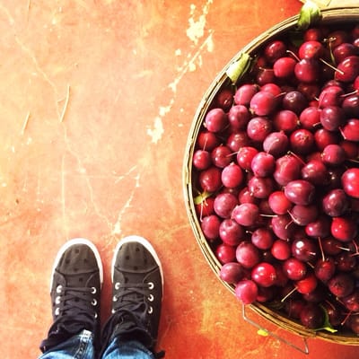 DIXIE ORCHARDS - Updated December 2025 - 53 Photos & 10 Reviews - 14309 ...