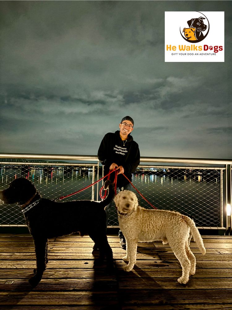 HE WALKS DOGS - Updated February 2025 - Request a Quote - Vancouver ...