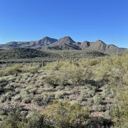 SPUR CROSS RANCH CONSERVATION AREA - 202 Photos & 44 Reviews - 44000 N ...