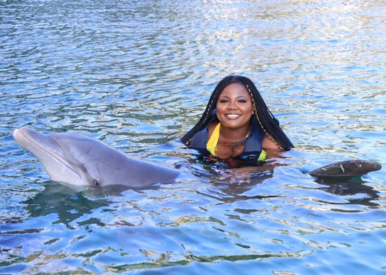 DOLPHIN QUEST - Updated September 2025 - 163 Photos & 162 Reviews ...