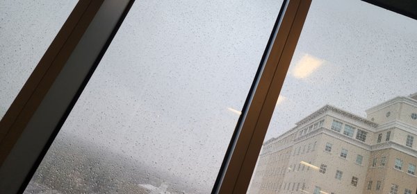 396 ALHAMBRA - Updated December 2025 - 97 Photos - 396 Alhambra Cir ...