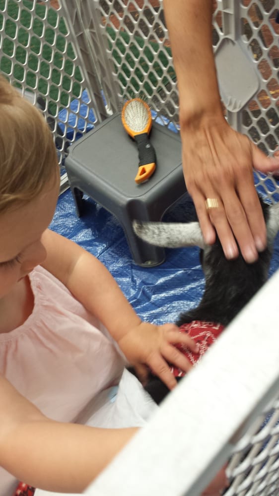 CAMBRIDGE PUBLIC LIBRARY - O’CONNELL BRANCH - Updated November 2024 ...