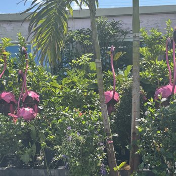 FANNIN FLOWERS - Updated December 2025 - 51 Photos & 90 Reviews - 4803 ...