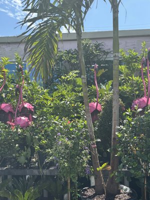 FANNIN FLOWERS - Updated October 2025 - 50 Photos & 89 Reviews - 4803 ...