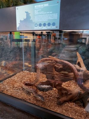 SCIENCE CENTER OF IOWA - Updated August 2025 - 163 Photos & 66 Reviews ...