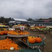 SECOR FARMS - 145 Photos & 59 Reviews - Fruits & Veggies - 168 Airmont ...