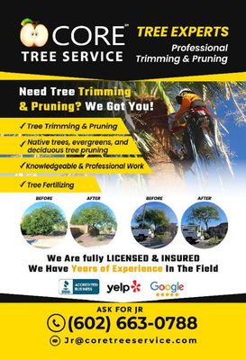 CORE TREE SERVICE - Updated August 2025 - 119 Photos & 152 Reviews ...