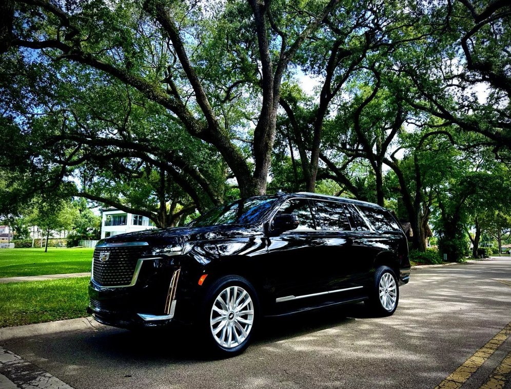 SPACE AAM - Updated August 2024 - Request a Quote - 11 Photos ...