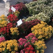 THE BUSHEL STOP - 155 Photos & 46 Reviews - 8596 W Atlantic Ave, Delray ...