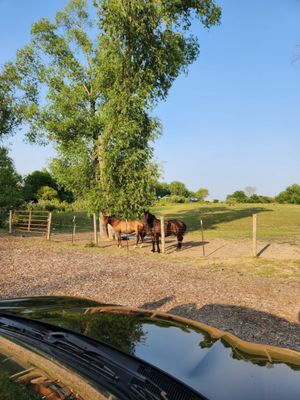 GIANT GOOSE RANCH - Updated January 2026 - 28 Photos - 25369 N Goose ...