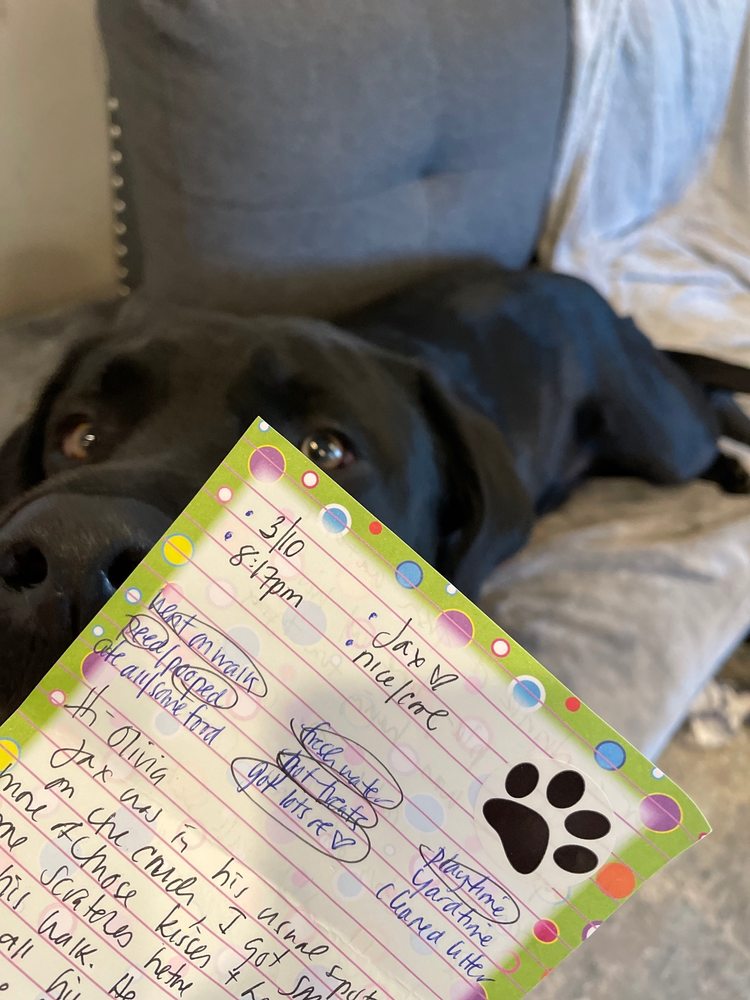 TOP TAILS PET SITTING - 85 Photos & 56 Reviews - Philadelphia ...