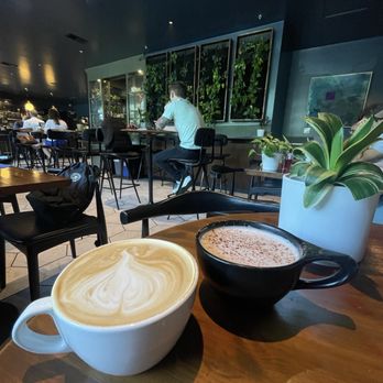 THE OPTIMIST - Updated August 2025 - 219 Photos & 135 Reviews - 1000 ...